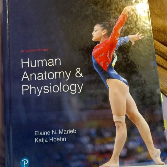 Other | Human Anatomy Physiology Eleventh Edition Elaine N Marieb And Katja Hoehn | Poshmark